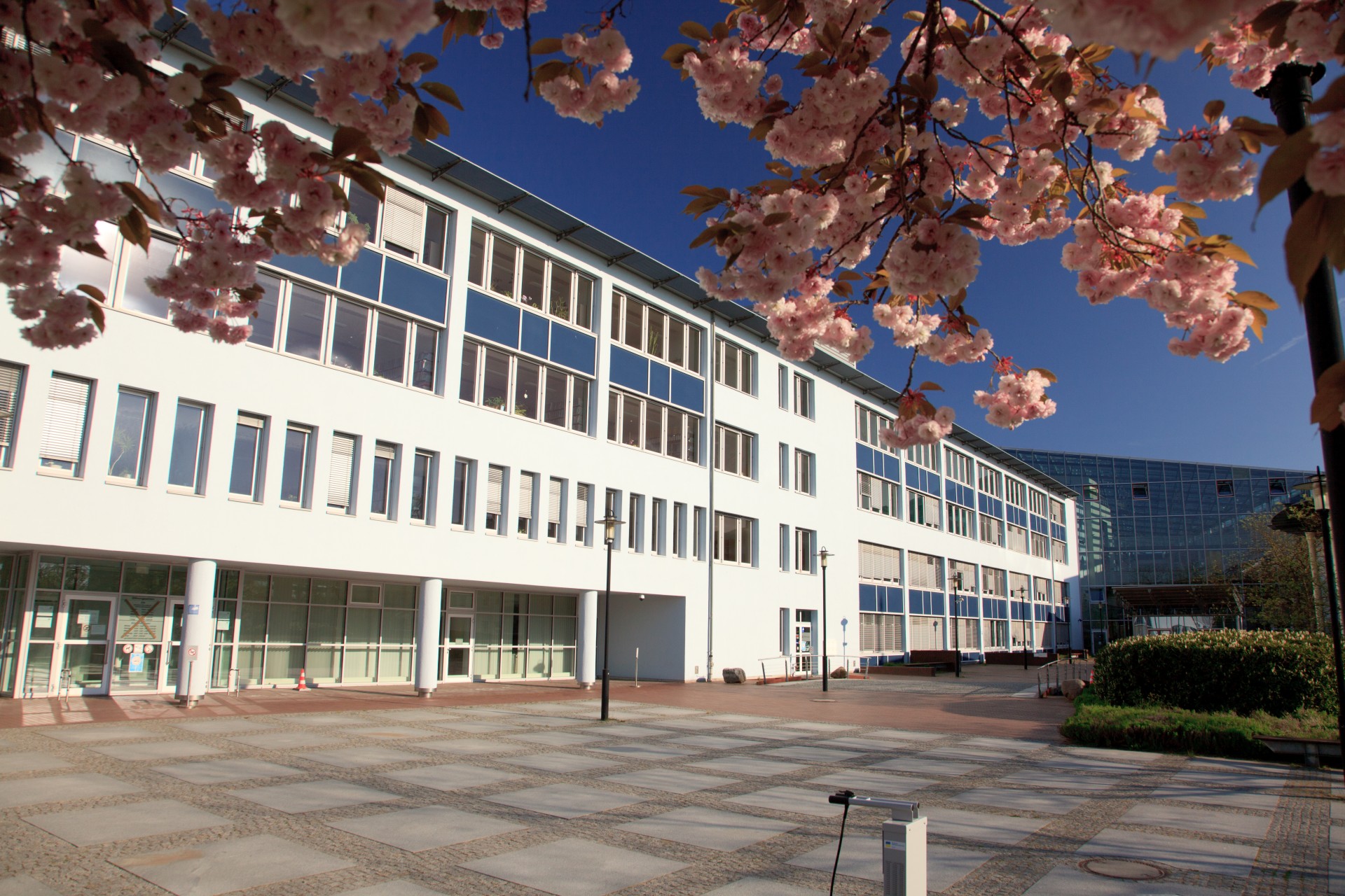 adesso Stralsund - Near the beautiful Baltic Sea beach